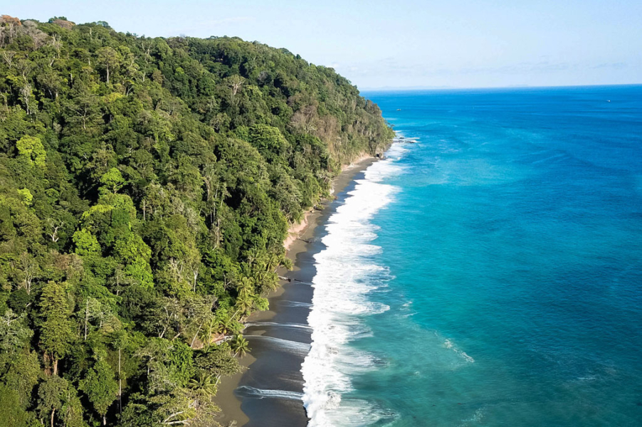 Puerto Jimenez Real Estate for Sale | Osa Peninsula Property