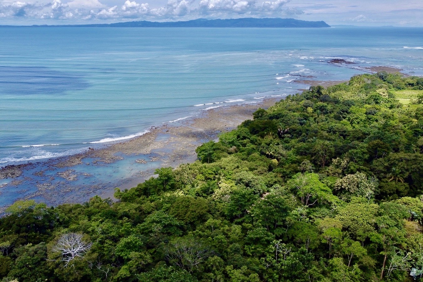 Titled Beach Property in Osa Peninsula - Osa Land Office